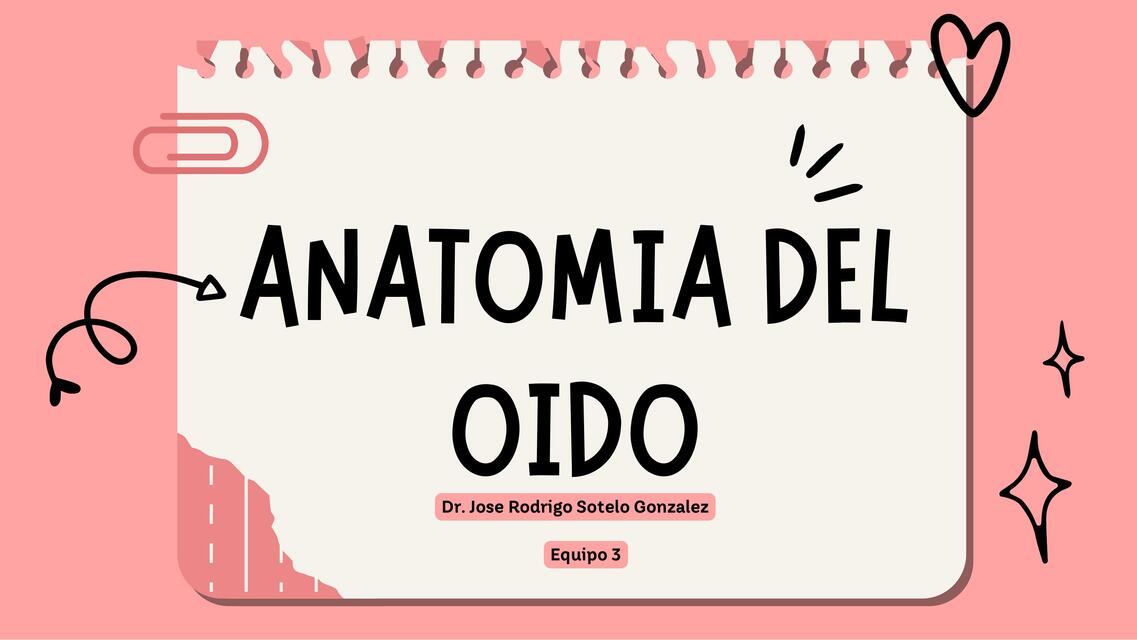 Anatomia de la oreja | VIANNEY MACIAS BETANCORT | uDocz