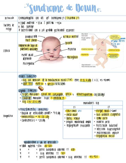 Sindrome de Down | Josefa (@jomedstudent) | uDocz