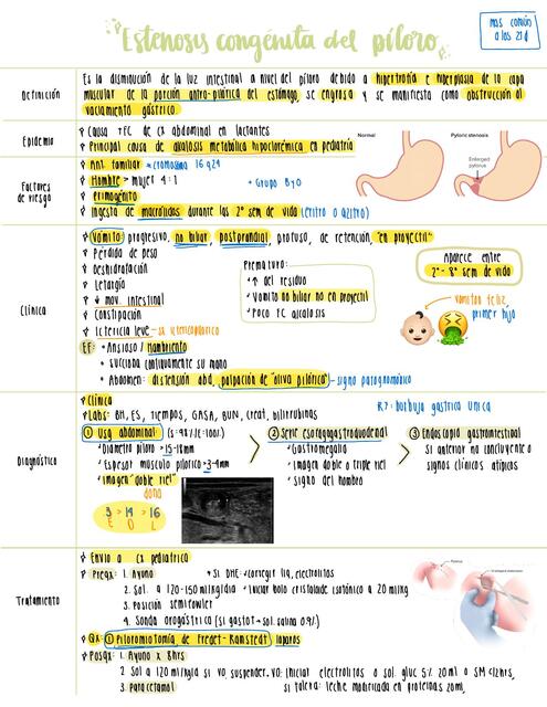 Estenosis hipertrofica del piloro | Josefa (@jomedstudent) | uDocz