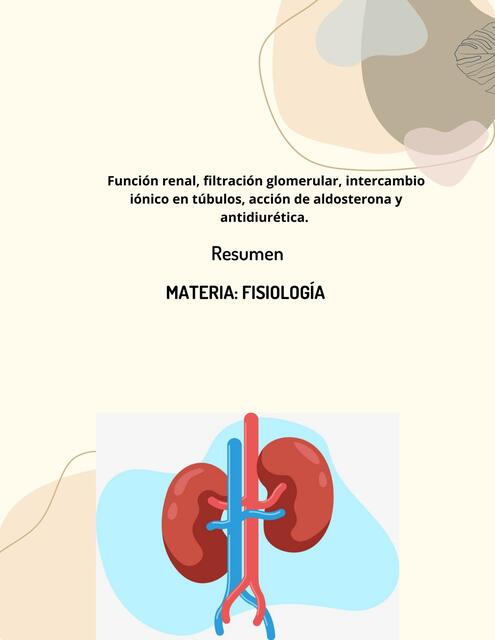 Formación de la orina por los riñones | Li | uDocz