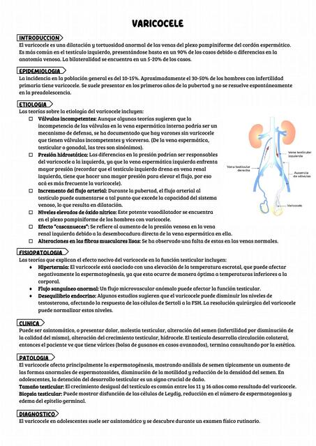 VARICOCELE | Fiorella Iglesias | uDocz