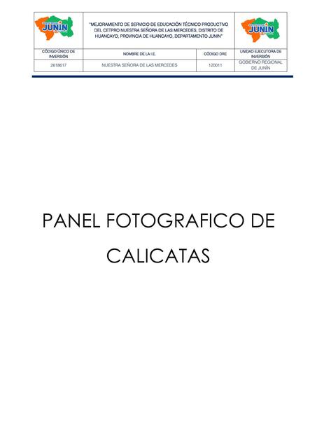 ANEXO FOTOS DE CALICATA | Fernando Ninamango | uDocz