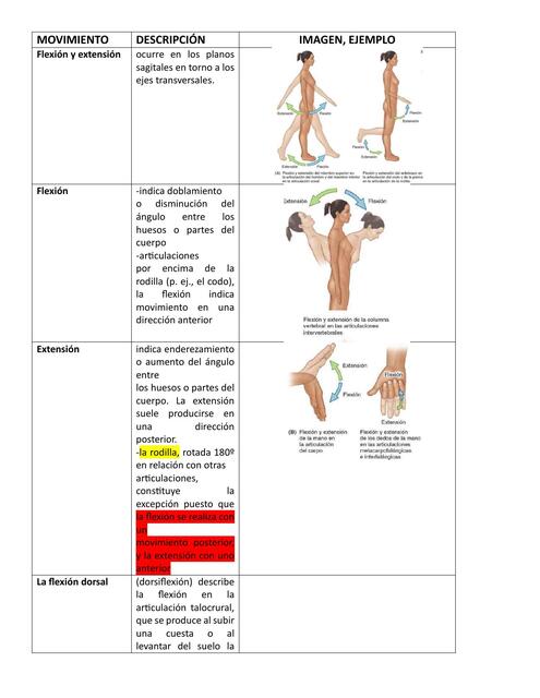 MOVIMIENTOS ANATÓMICOS | Samuel | uDocz