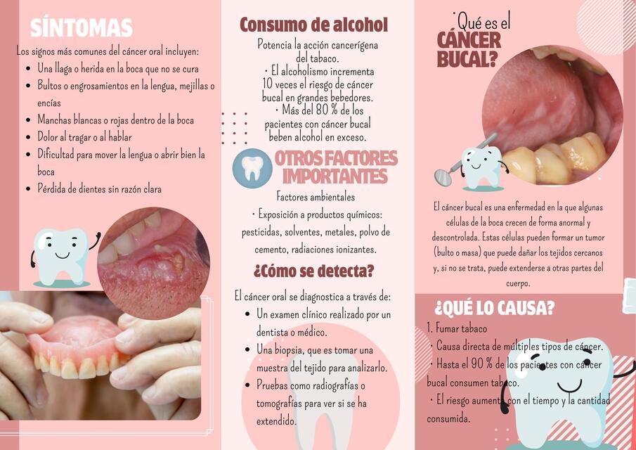 Brochure de Cancer bucal pdf | Grechel Karina Mendez Corrales | uDocz