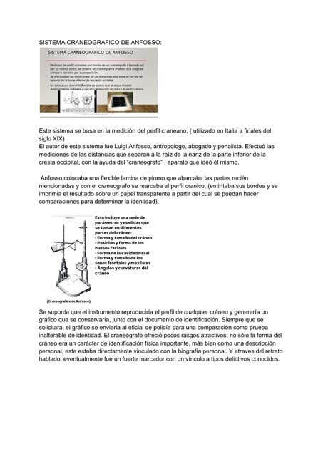 Sistema craneografico de anfosso | Candela | uDocz