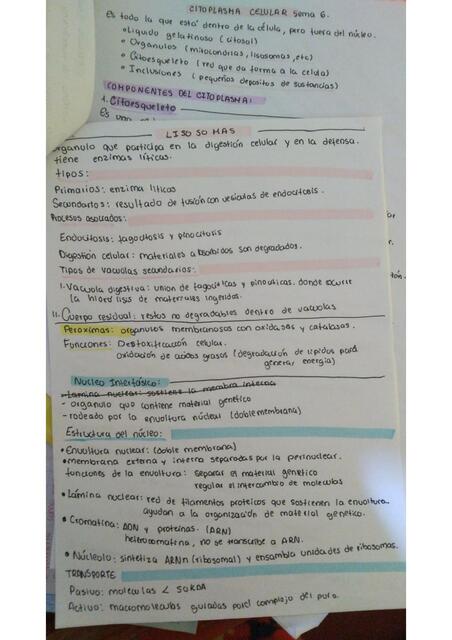 Pdf Converter Yamile Udocz