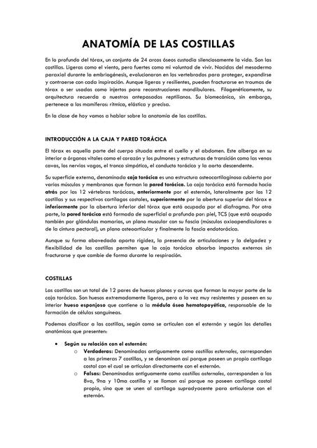 ANATOMÍA DE LAS COSTILLAS | Dr. Carlos Andrés García | uDocz