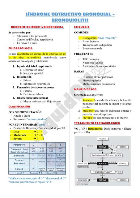 43. Síndrome Obstructivo Bronquial - Bronquiolitis | LiquidOH愛 | uDocz