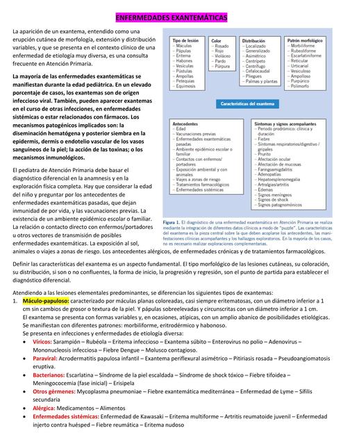 Enfermedades exantemáticas | uDocz creators | uDocz