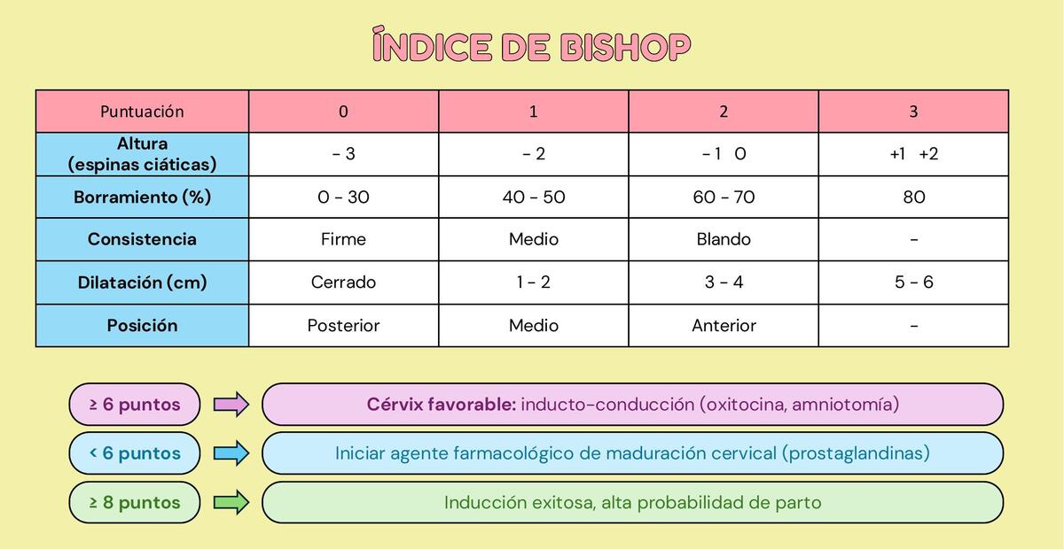 Índice de Bishop | Javier Rios | uDocz