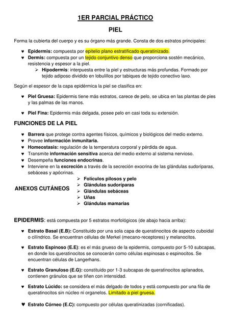 1ER PARCIAL PRÁCTICO HISTO REPASO + LÁMINAS | Cecilia | uDocz