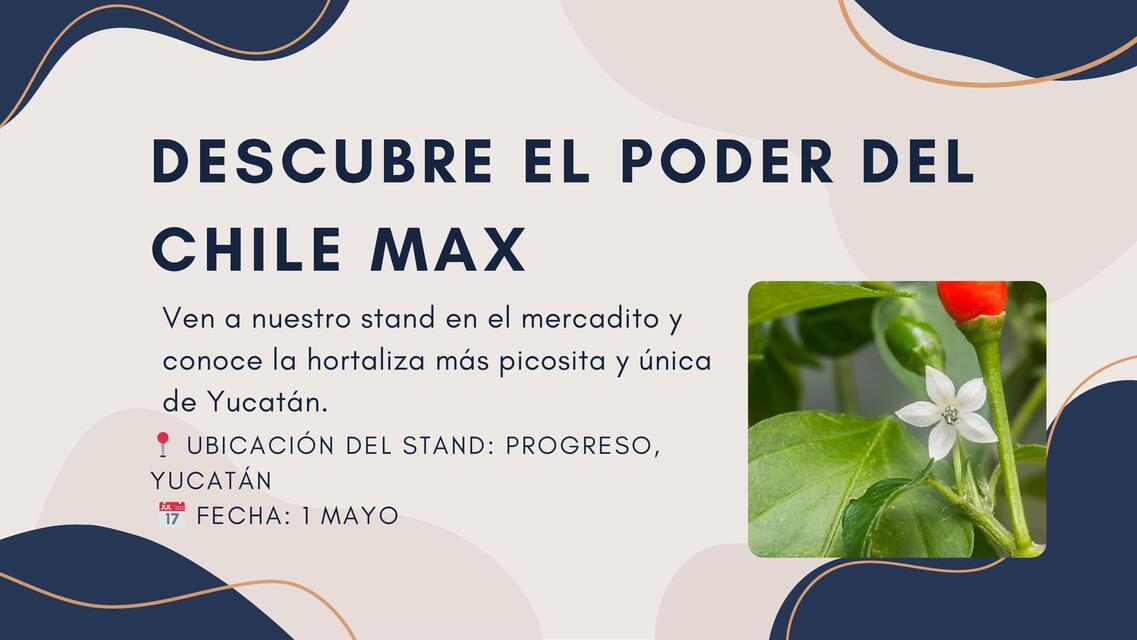 ProyecTransversal | esteban | uDocz