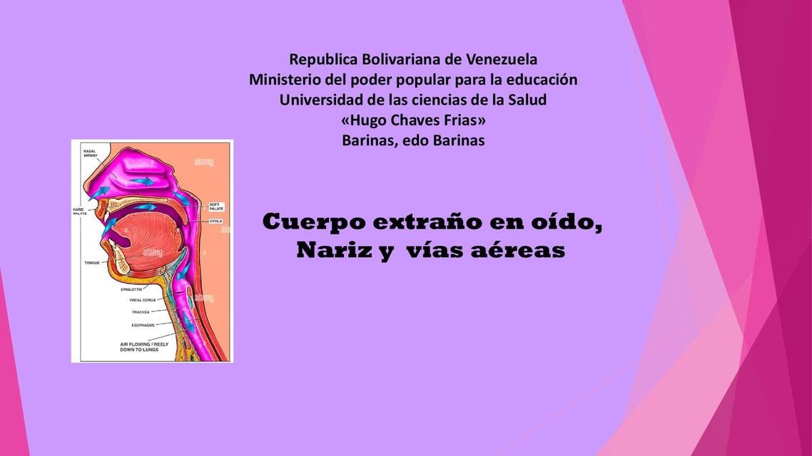 Objeto extraño ORL | Kelvi22 | uDocz