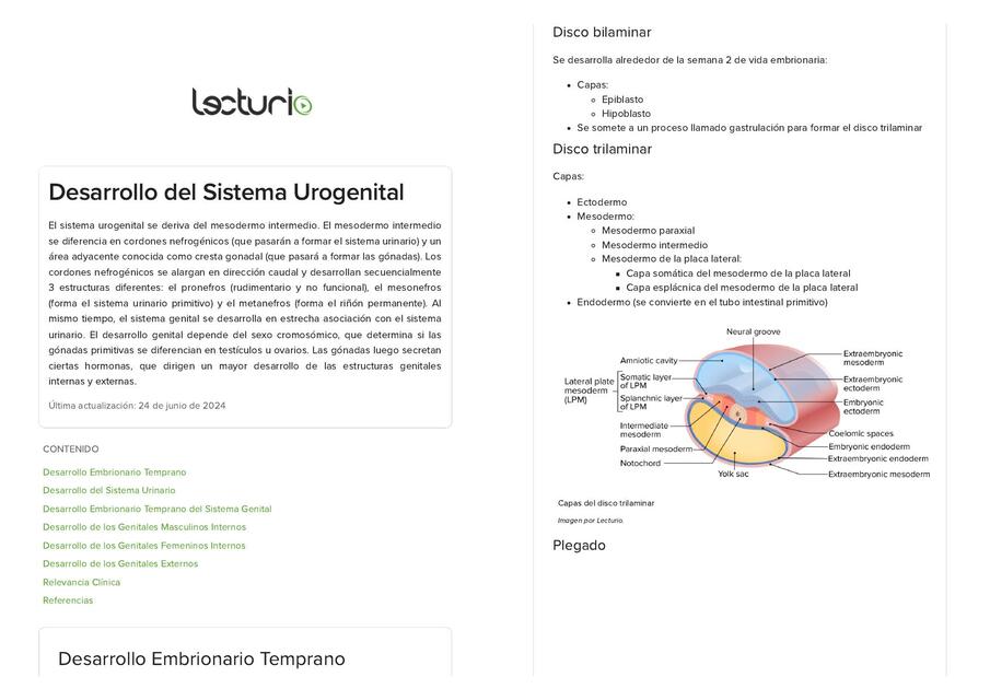 Desarrollo del Sistema Urogenital - Lecturio | Antuanette Rivera | uDocz