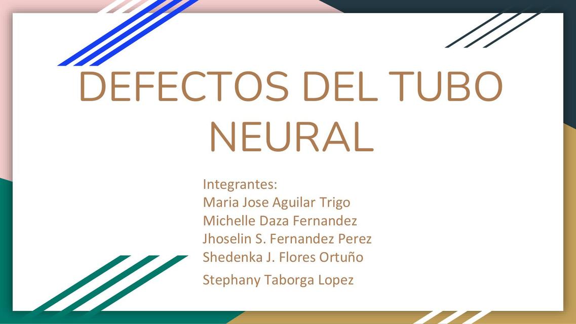 Defectos del tubo neural | Apuntes y Resúmenes médicos | uDocz