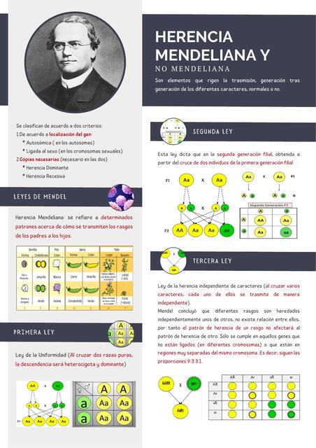 HERENCIA | WILFREDO ALDAHIR | uDocz