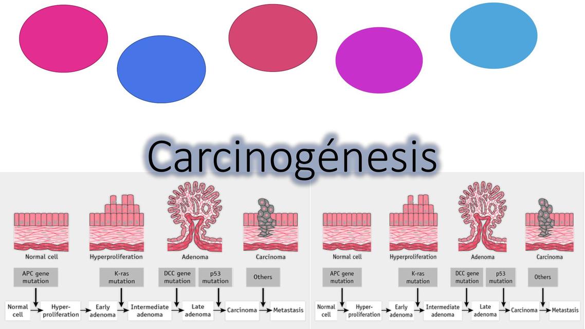 Carcinogénesis | Apuntes_I | uDocz