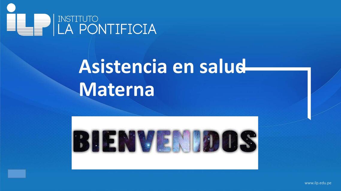 Asistencia en Salud Materna | Leydi | uDocz