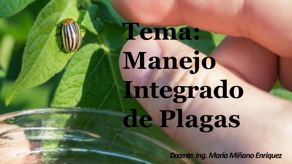 SESIÓN N2 MANEJO INTEGRADO DE PLAGAS PPT 1 | Alondra | uDocz