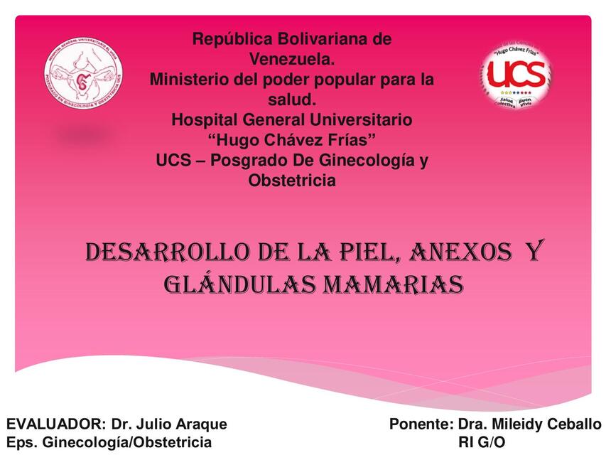 desarrollo de la piel | Mileidy Alexandra | uDocz