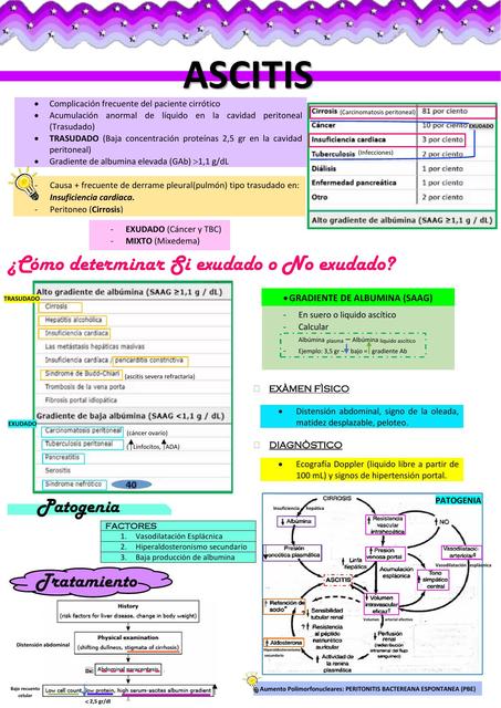 Ascitis | Maria Stefany Chuquitucto Torres | uDocz