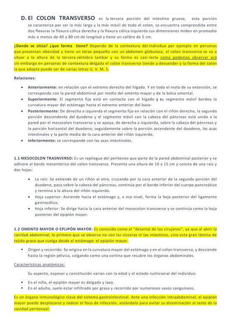 INTESTINO GRUESO COLON TANVERSO SOGMOIDES Y RECTO | Stefany | uDocz