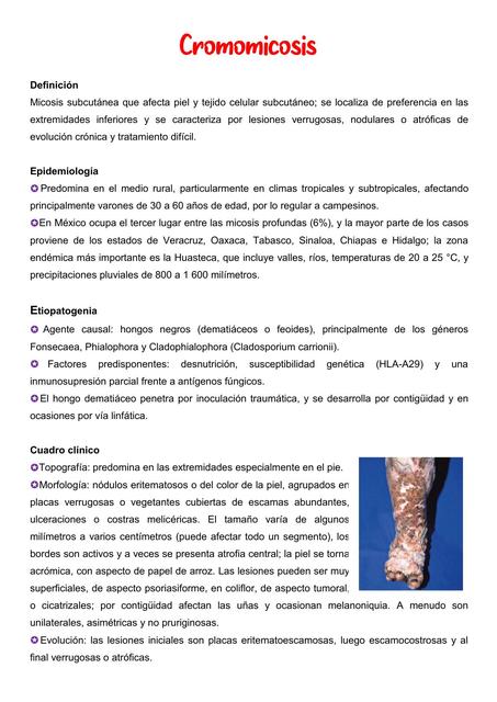 Cromomicosis | apun.tesmedicina | uDocz