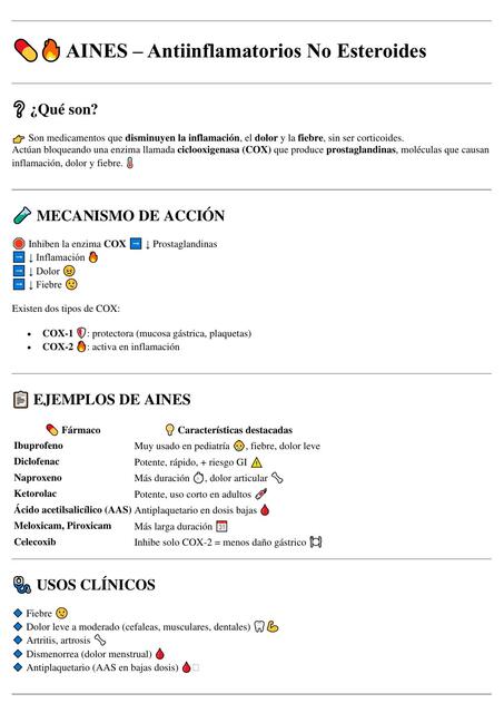 AINES | Celeste Codutti | uDocz