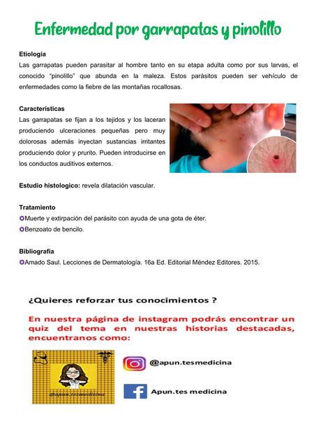 Enfermedad por garrapatas y pinolillo | apun.tesmedicina | uDocz