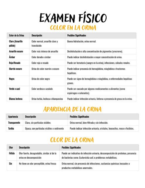 Examen general de orina | Bruno | uDocz