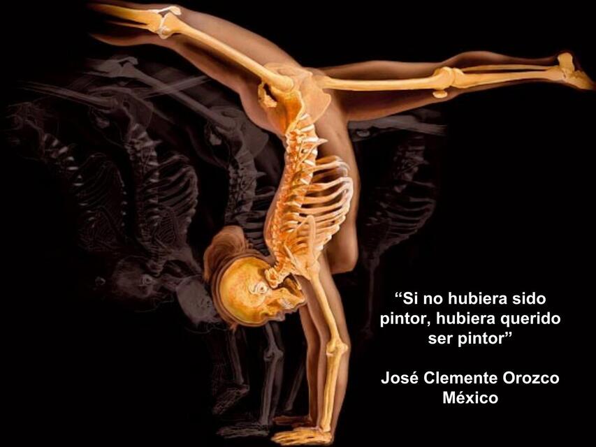 1 Introducción anatomía 1 | Britany | uDocz