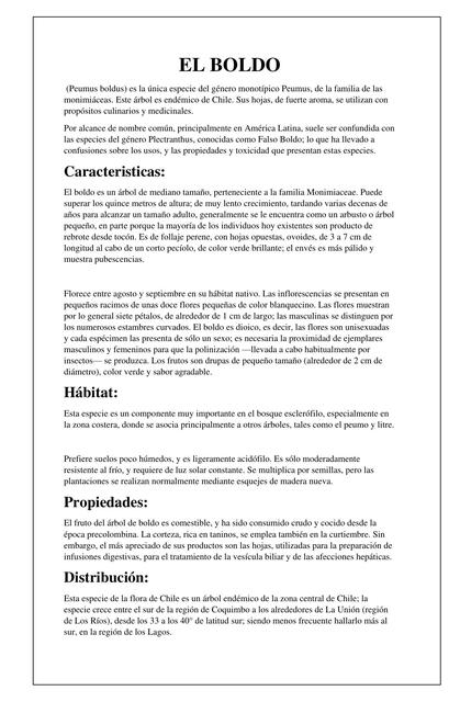 EL BOLDO | Suri | uDocz