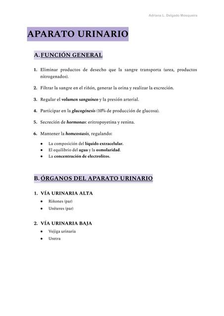 SISTEMA URINARIO CICLO 1 2025-I | Adriana Delgado | uDocz