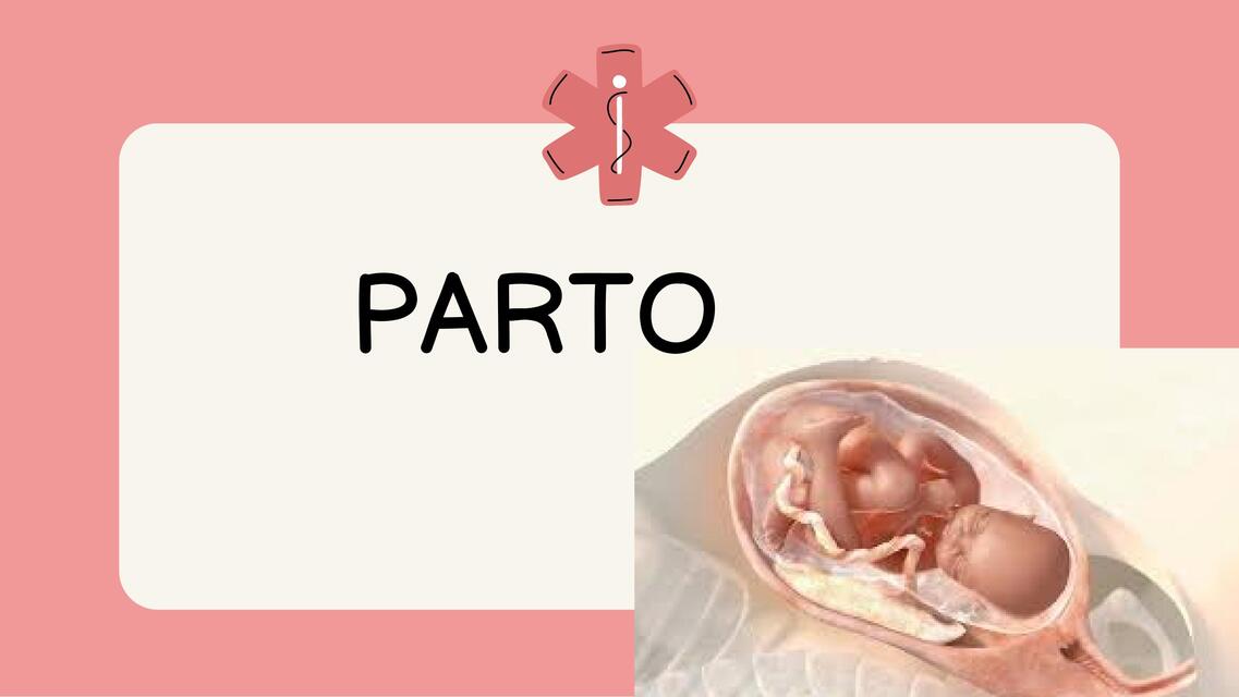 Flashcards de Presentación Preparación al parto Matrona Medicina | Por ...