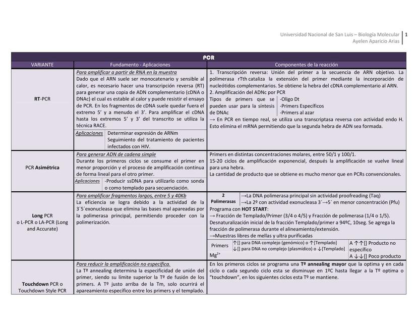 Resumen PCR - Parte 1 | Aye4A | uDocz