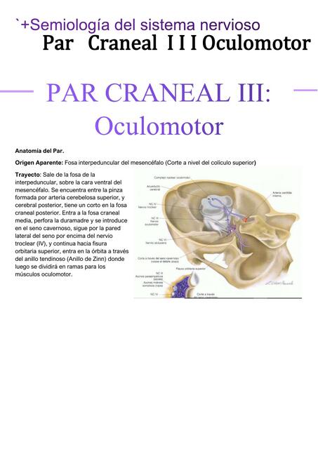Par III IV y VI | Anibal Reyes | uDocz