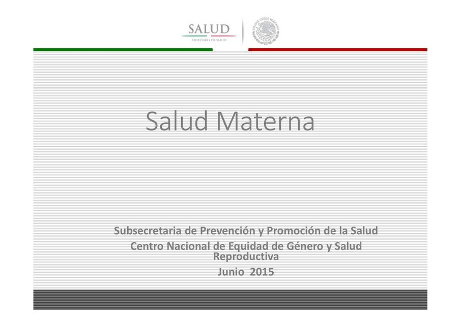 Salud Materna | Joel Del Rosal | uDocz