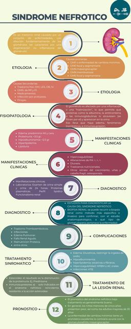 Sindrome Nefrotico | José Benjamín | uDocz