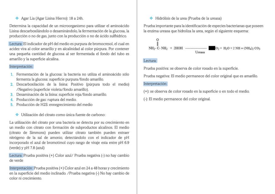 Resumen de las practicas de micro | LVVM | uDocz