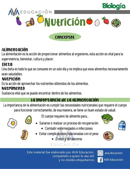 biología Nutrición | uDocz creators | uDocz