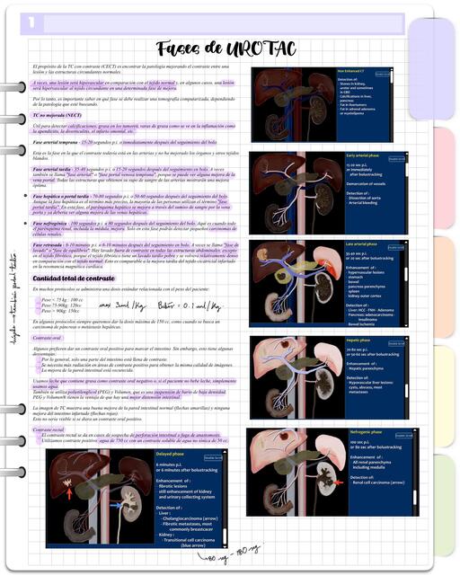 Fases de la UROTAC - Imagenología | DenMedStudies | uDocz