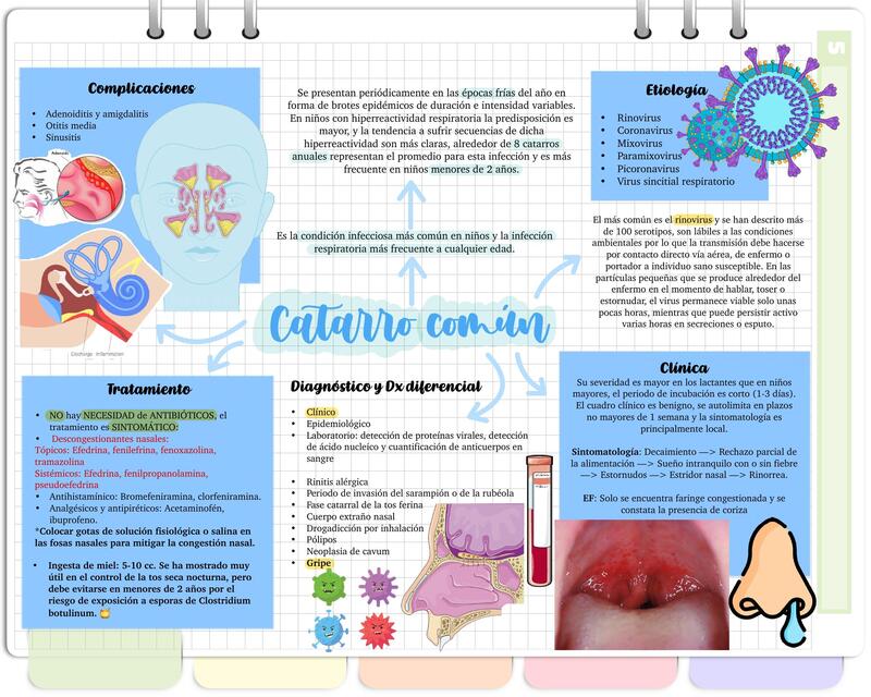 Catarro común - Pediatría | DenMedStudies | uDocz