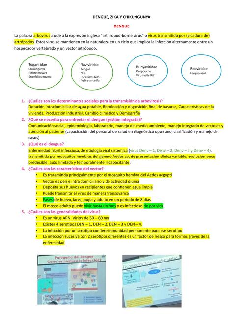 DENGUE ZIKA Y CHIKUNGUNYA | ClaudiaLga | uDocz