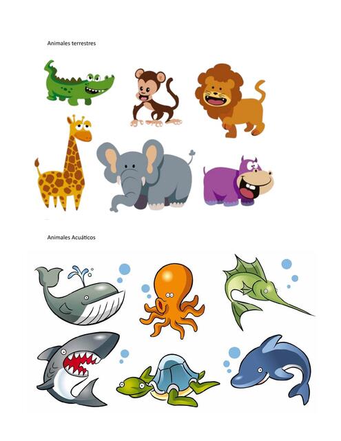 Animales terrestres y acuaticos 5 | Frady Lopez | uDocz