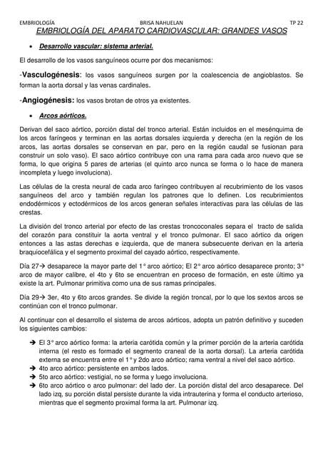 Embriología del Aparato Cardiovascular: Grandes Vasos | Heileen Castro ...