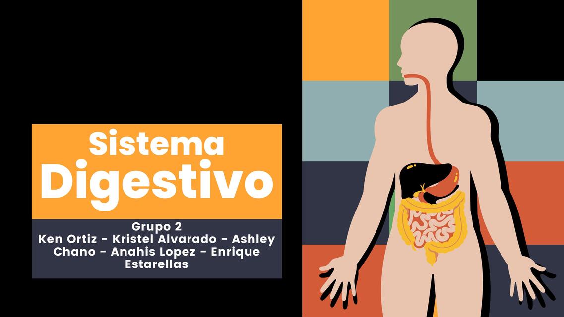 Cavidad bucal, anexos y Faringe | Ken Ortiz Minaya | uDocz