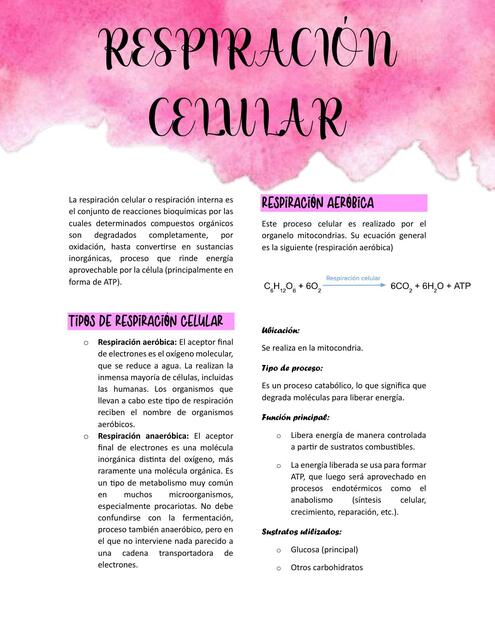 Respiración celular-Biología general | Lianys | uDocz