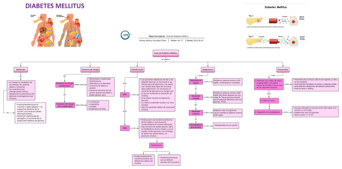 Mapa Conceptual Guía de Diabetes Mellitus Salud In | Amara | uDocz