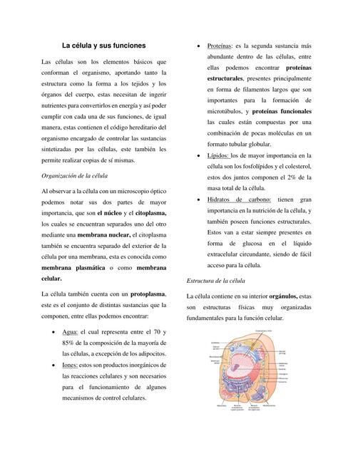 Cap 2 Guyton Resumen Fisio | Emily | uDocz