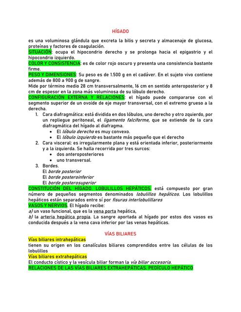 HÍGADO | Miriam Lucero | uDocz